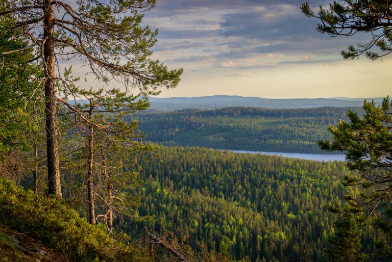 Etelä-Pohjanmaan piiri: Etusivu - MNL - Etelä-Pohjanmaan Piiri ry